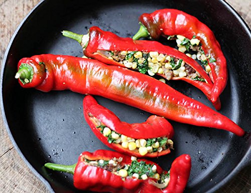 30+ Italian Jimmy Nardello's Sweet 12" Long Pepper Seeds, Heirloom Non-GMO, Prolific, Juicy, Delicious! from USA