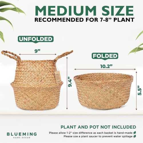 Blueming Home Decor Plant Baskets β Set of 2, Twin Pack Large Hand Woven Seagrass Rattan Belly Planter with Handles for Plant Pots, Home Decor, Organizer, Laundry (Original, 12 Inch x 10 Inch)