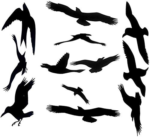 Anti-Collision Window Bird Stickers Glass Door Protection Save Birds Window Decals, 12 Pcs (Combinations)