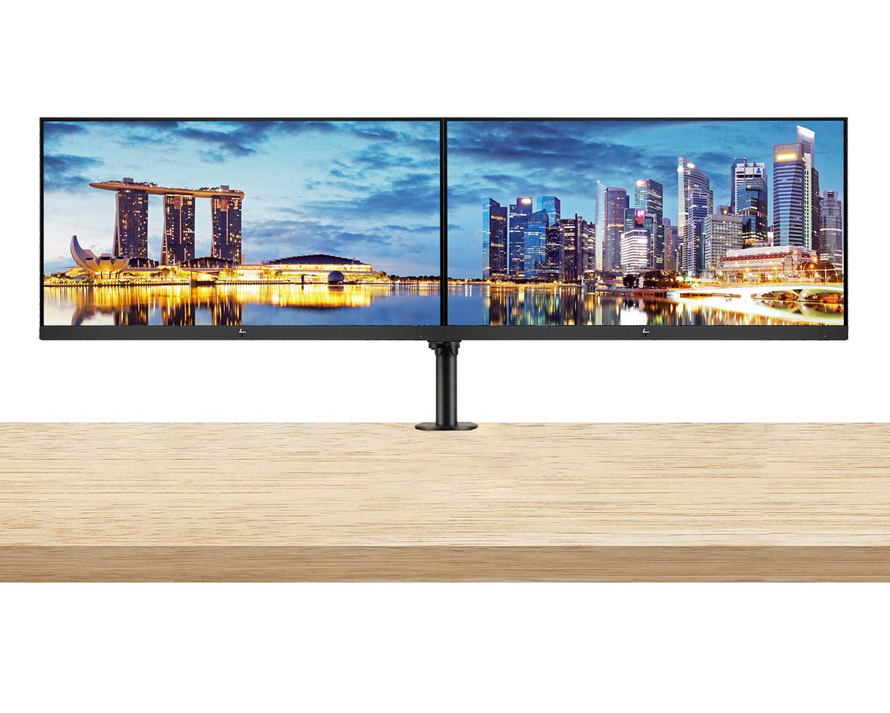 HP EliteDisplay E24q G4 24 Inch IPS LED Backlit Monitor 2-Pack Bundle with Fully Adjustable Desk Mount Monitor Stand