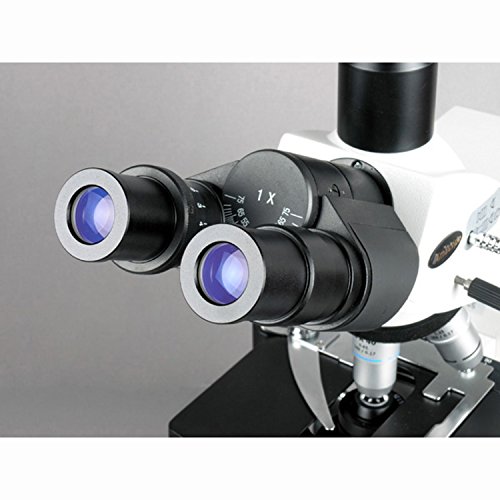 AmScope T690B-PL Trinocular Compound Microscope, 40X-2000X Magnification, WH10x and WH20x Super-Widefield Eyepieces, Infinity Plan Achromatic Objectives, Brightfield, Kohler Condenser, Double-Layer Mechanical Stage