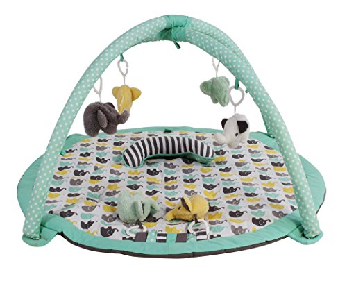 Bacati Elephants Unisex Activity Gym with Mat, Mint/Yellow/Grey