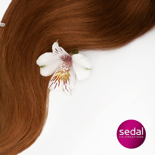 Sedal Co-Creations Conditioner Ceramides, Repairs and Strengthens, All hair types, 2-Pack of 22 FL Oz, 2 Bottles