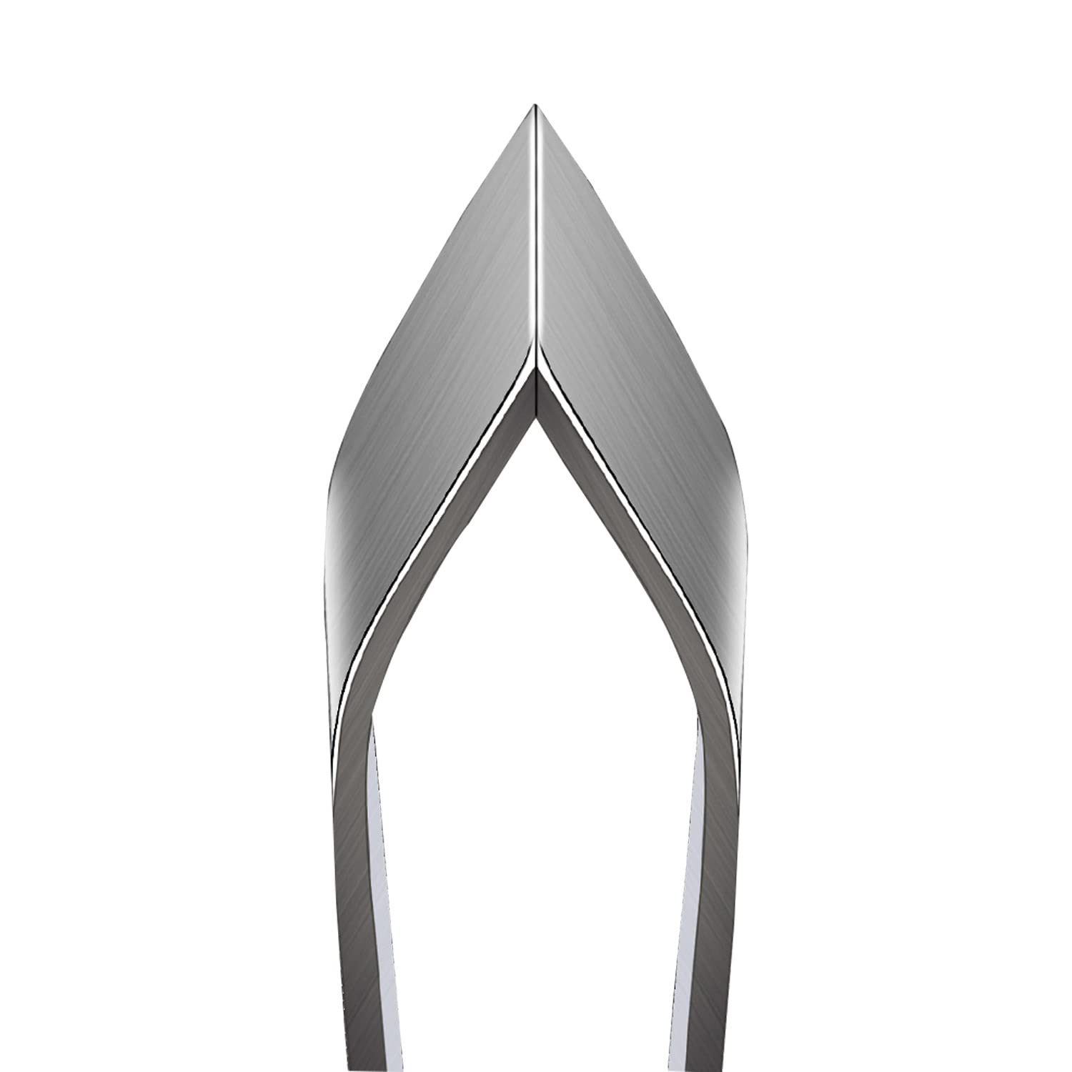 2 Pcs Tweezers, Stainless Steel Non-slip Flat and Slant Tweezers Fish Salmon Bones Remover Tool