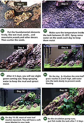 3 Pack Live Aquarium Plant Seeeds, Fresh Water Fish Tank Carpet Grass Plants Mini Leaf & Long Hair Grass for Terrarium Aquatic 21c
