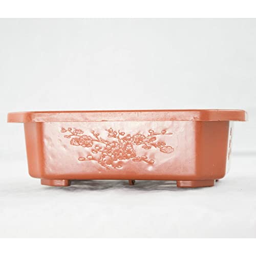 24 Pcs Rectangular Plastic Bonsai Training Pot, Succulent Planter - 6.25"x 4.5"x 2"