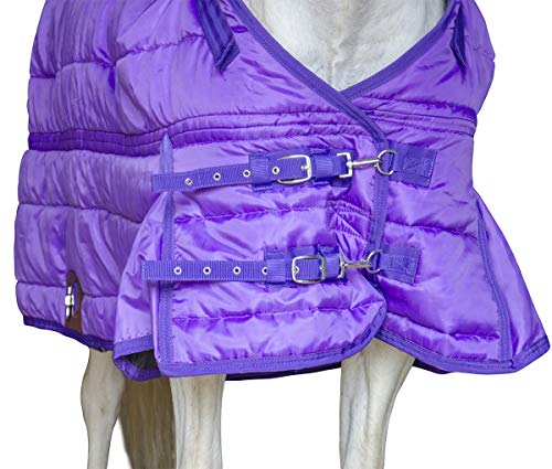 Derby Originals Wind Storm West Coast 420D Water Resistant Winter Horse Stable Blanket 200g Medium Weight