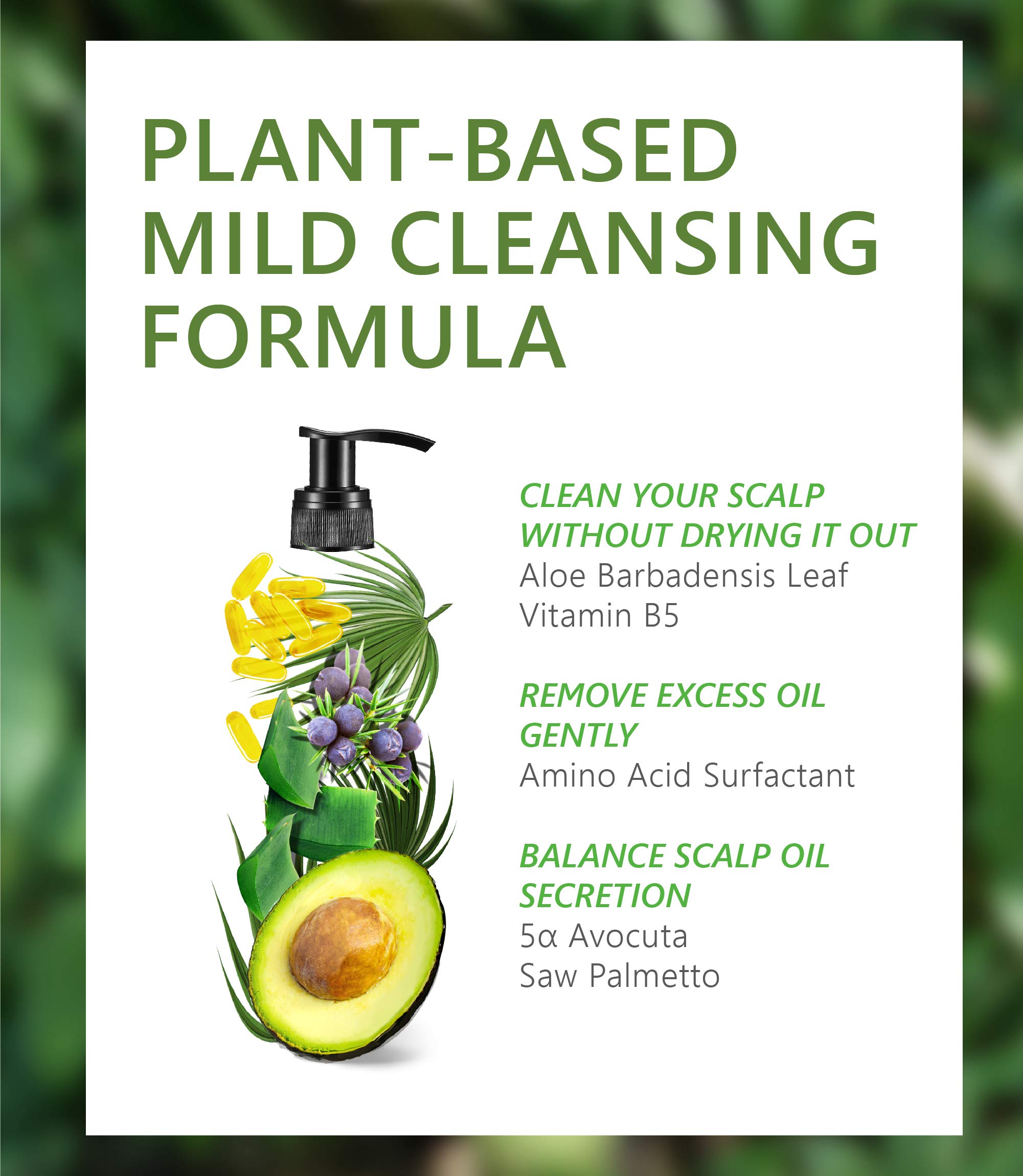 AROMASE 5Å’± Intensive Hair Solution Kit (9.1 Fl Oz Juniper Scalp Purifying Shampoo + 14 Fl. Oz Balancing Essential Shampoo) for Oily Hair & Scalp & Oil Smells
