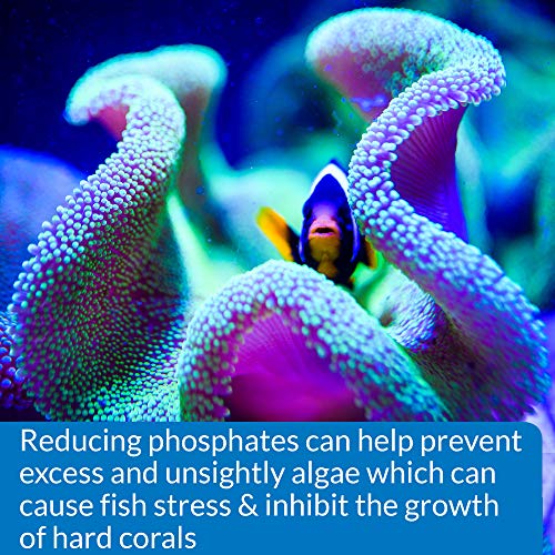 API Phosphate Test Kit For Freshwater And Saltwater