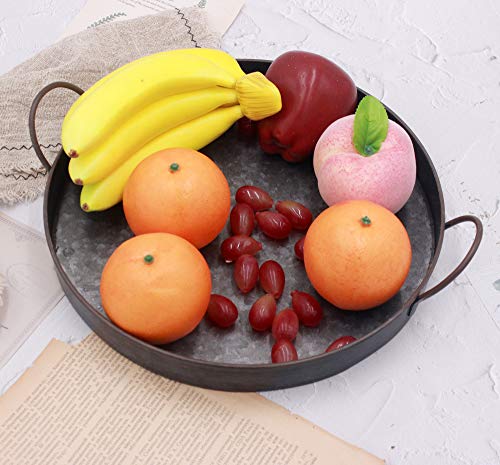 Funerom 10.2 inchs Round Galvanized Metal Round Tray with Handles