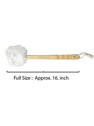 Aquasentials Exfoliating Mesh Brush (Singe)