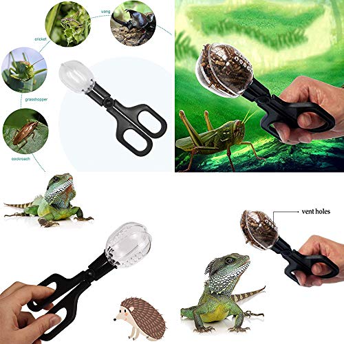 3Pcs Reptile Feeding Tongs Long Tweezers Cricket Clamp Bug Scooper and 2Pcs Reptile Food Bowl Lizard Gecko Food Water Dish Bearded Dragon Feeding Dish, Ceramics Worm Dish