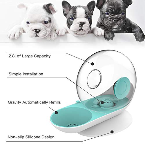 HappyCat Small Pets Water Dispenser Dogs Cats Gravity Waterer Feeder Bowl Automatic Water Drinking Fountain for Small or Medium Size Dogs Cats (Green Snail)