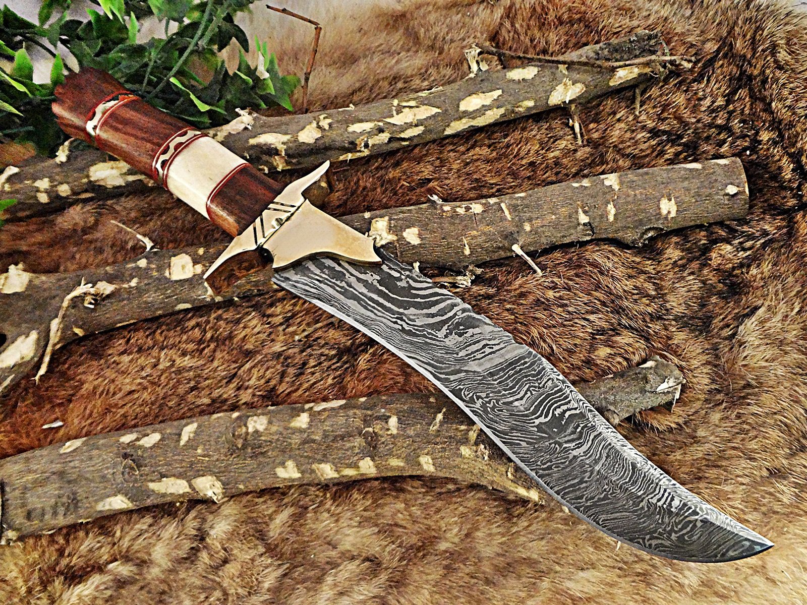 15" Long hand forged Damascus steel hunting Knife, Natural camel Bone and Walnut wood with engraved brass handle, Cow hide Leather sheath with belt loop