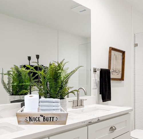 Admired By Nature Distressed Home Décor Toilet Wood Crates Decorative Organizer, Regular, Nice Butt White