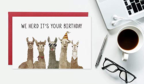 Llama Birthday Card,Funny Alpaca Birthday Cards For Friends