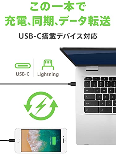 Belkin USB-C to Lightning Cable (4ft Fast Charging iPhone USB-C Cable for iPhone 11, 11 Pro, 11 Pro Max, XS, XS Max, XR, X, MacBook, iPad and more, Apple MFi-Certified), Black (F8J239bt04-BLK)
