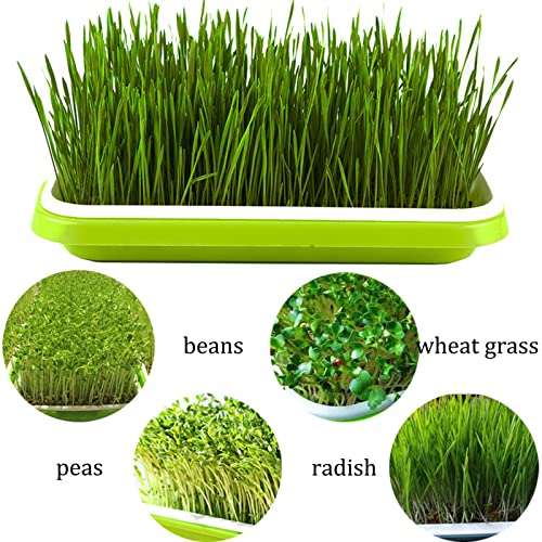3 Layers Seed Sprouting Kit with 6-Pack Seed Sprouter Tray BPA Free for Alfalfa Sprouts Wheatgrass Grower Sprouting, Stainless Steel Shelf Seed Sprouting Tray