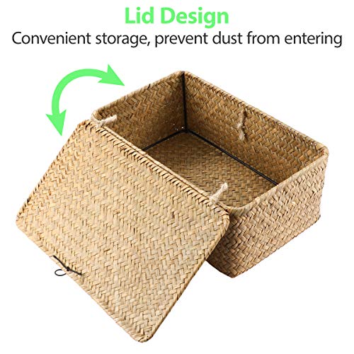Hand Woven Rattan,Home Storage Basket Box with Lid & Removable Fabric Lined Interior, Seagrass Basketfor Shelf Organizer