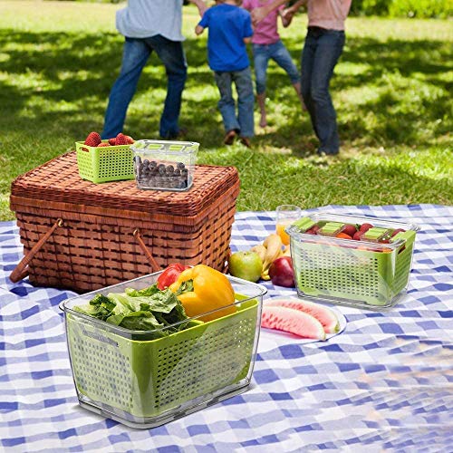 LUXEAR Fresh Container, 3PACK Produce Saver Container BPA Free Fridge Organizer for Vegetable Fruit and Salad Partitioned Food Storage Container with Vents Stay Fresh Containers Not Dishwashers Safe