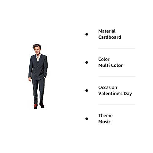 Harry Styles LIFESIZE Cardboard Standup Standee Cutout Poster Figure