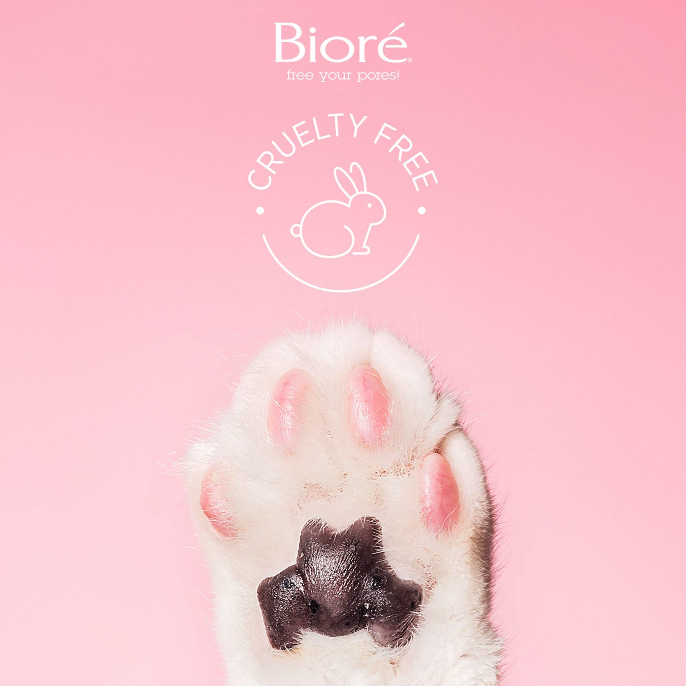 Bioré Rose Quartz + Charcoal Gentle Pore Refining Scrub, Pore Minimizing Facial Scrub, 4 Ounce, Oil Free, Dermatologist Tested, Non-Comedogenic, Cruelty Free, Vegan Friendly
