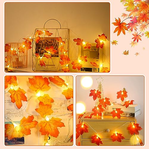 3 Pack Thanksgiving Decorations Lighted Fall Garland, 30 Ft 60 LED Battery Operated Maple Leaves String Lights for Indoor Outdoor Autumn Harvest Party Halloween Thanksgiving Decoration