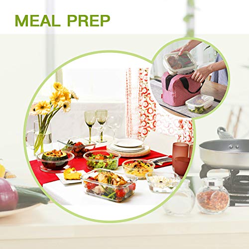 ETERNA GLASSWELL 18 Piece Glass Food Storage Containers with Locking Lids - Airtight & Leak Proof, BPA Free - Dishwasher, Oven, Freezer, Microwave Safe Glass Meal Prep Container