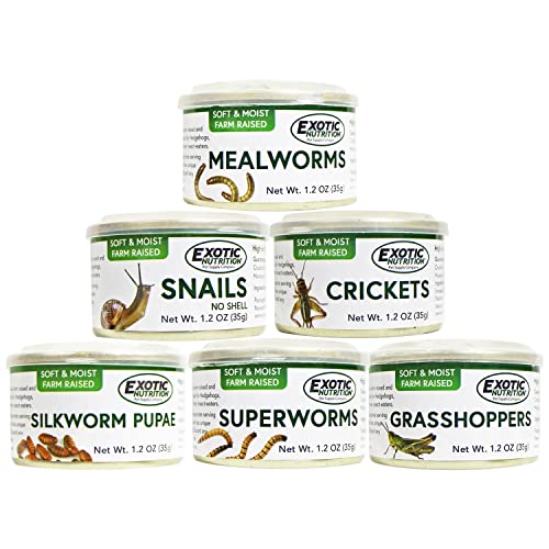 Canned Insect Assortment 6 Pack - Healthy High Protein Treat - For Hedgehogs, Sugar Gliders, Reptiles, Chickens, Lizards, Bearded Dragons, Turtles, Fish, Birds, Opossums, Skunks and other Insectivores