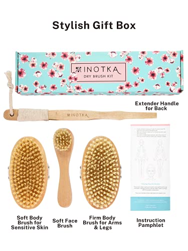 Vegan Dry Brush for Cellulite and Lymphatic Drainage Massage, Natural Firm and Soft Brushes, Cactus Bristles, Dry Skin for Face and Body Set for Brushing, Scrub with Handle