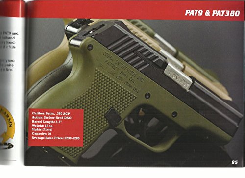 CARRY GUN COMPANION, 2nd AMENDMENT MEDIA (HIGHLIGHTING HANDGUNS FOR TODAY'S CONS