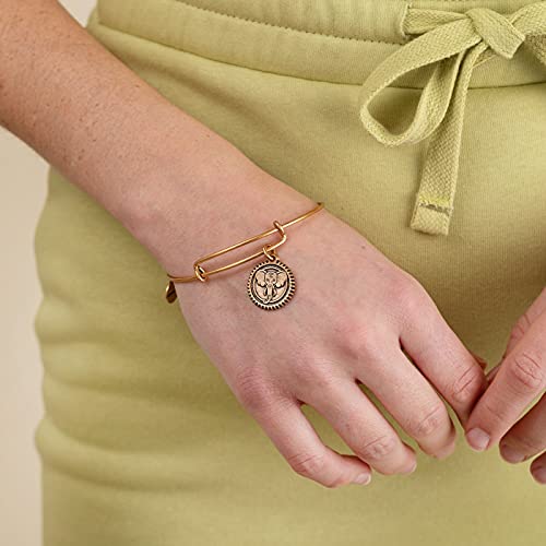 Alex and Ani Path of Symbols Expandable Bangle for Women, Elephant Embossed Charm, Rafaelian Gold Finish, 2 to 3.5 in