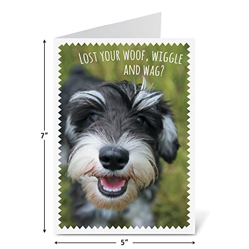 Current Furry Friends Get Well Greeting Cards Value Pack - Set of 20, 10 Unique Designs, Large 5 x 7 Inch Cards, Sentiments Inside, Dogs, Cats, Pets
