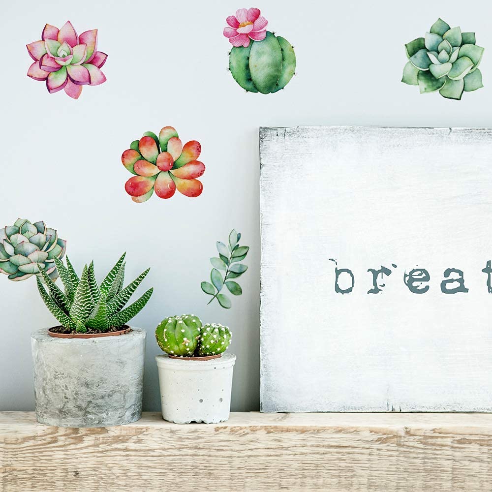 CozyDecor 36 Pcs Succulent Decals for Wall, Succulents Classroom Decorations for Teachers Bulletin Board,Succulent Theme Classroom Decor A655