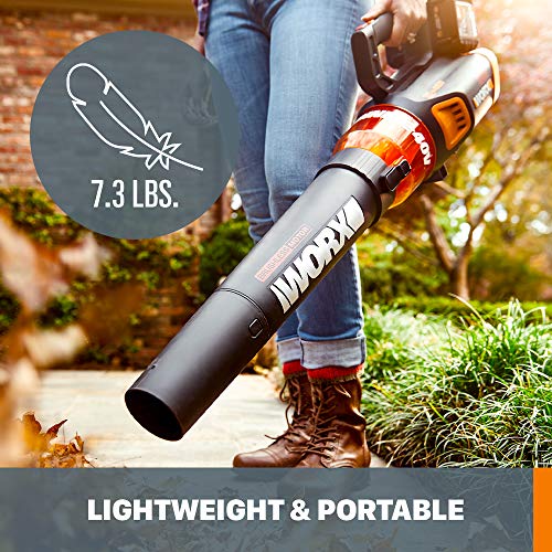 Worx 40V 13" Cordless String Trimmer & Turbine Leaf Blower Power Share Combo Kit - WG927 (Batteries & Charger Included)