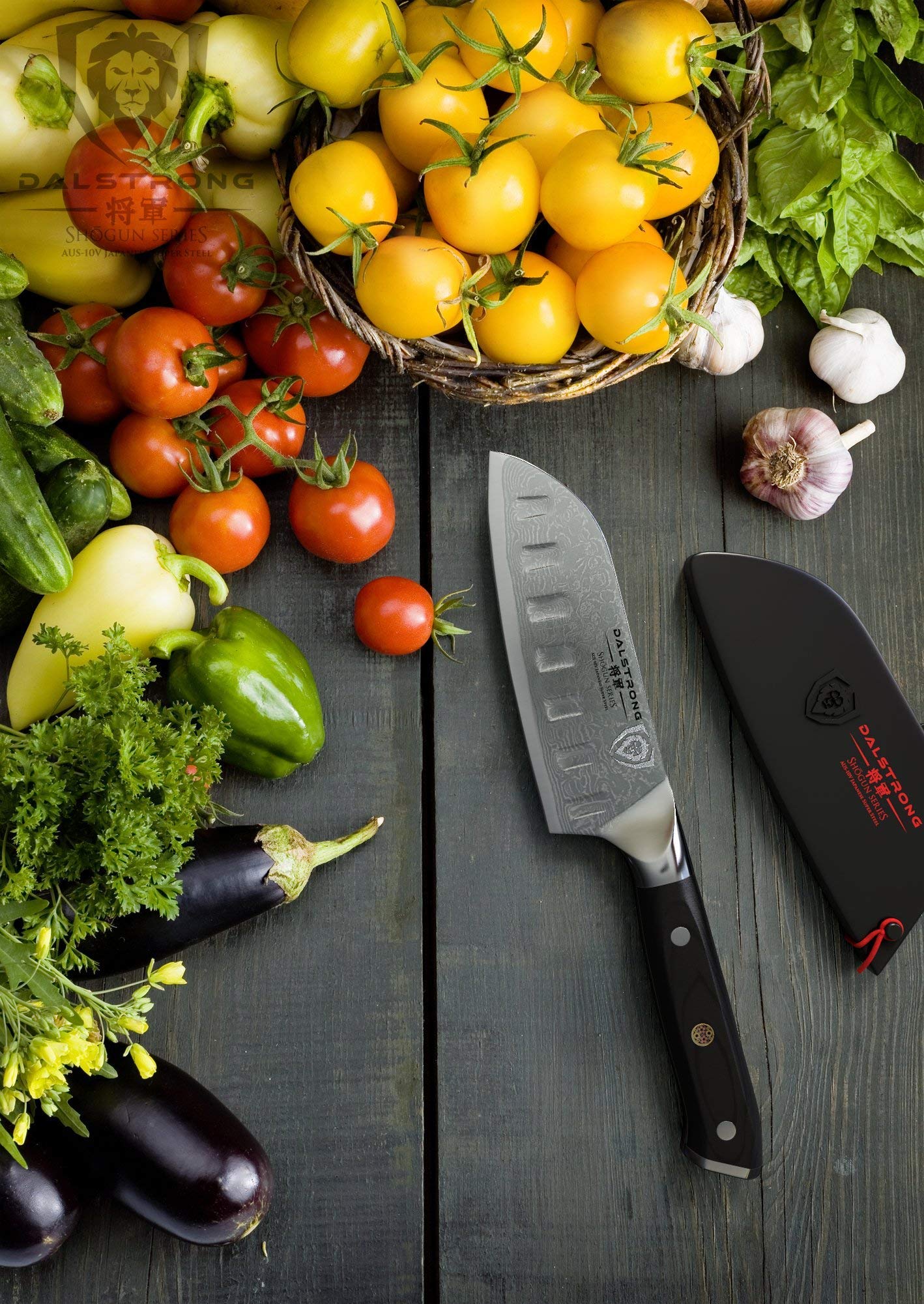 Dalstrong The Shogun Series Santoku Knife 5" Bundled with Premium Whetstone Kit (#1000/#6000 Grit)