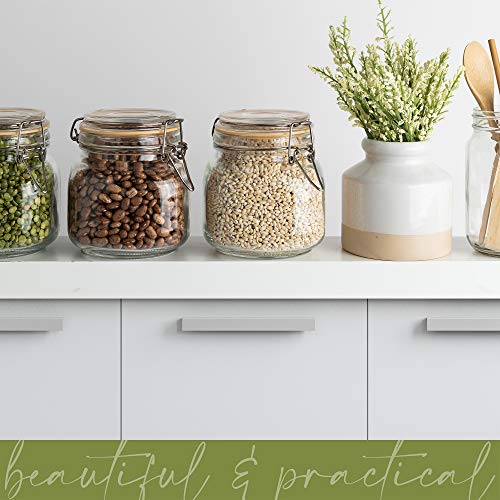 Glass Jars with Airtight Lid | Glass Airtight Food Storage Containers | Clear Leak Proof Rubber Gasket and Clamp Lid [Set of 4-25 oz]