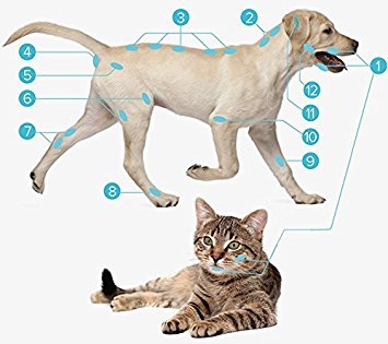 B-Cure Cold Laser Therapy Device for Dogs, Cold Vet Device for Pets & Infrared Light Therapy for Pain Relief, Muscle & Joint Pain, Suitable for Dogs, Cats, Horses and Other Animals