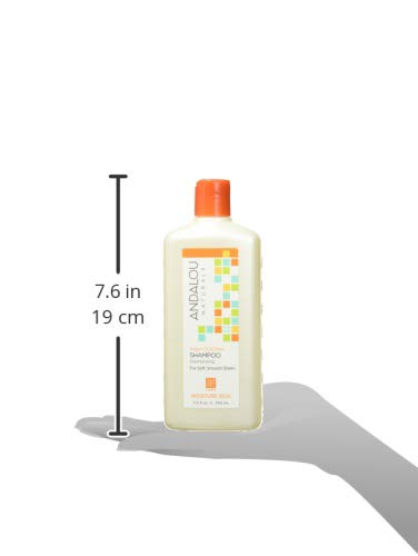 Andalou Naturals Argan Oil & Shea Moisture Rich Shampoo, Orange, 11.5 Ounce