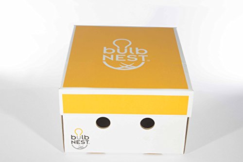 bulbNEST® - Light Bulb Storage Organizer
