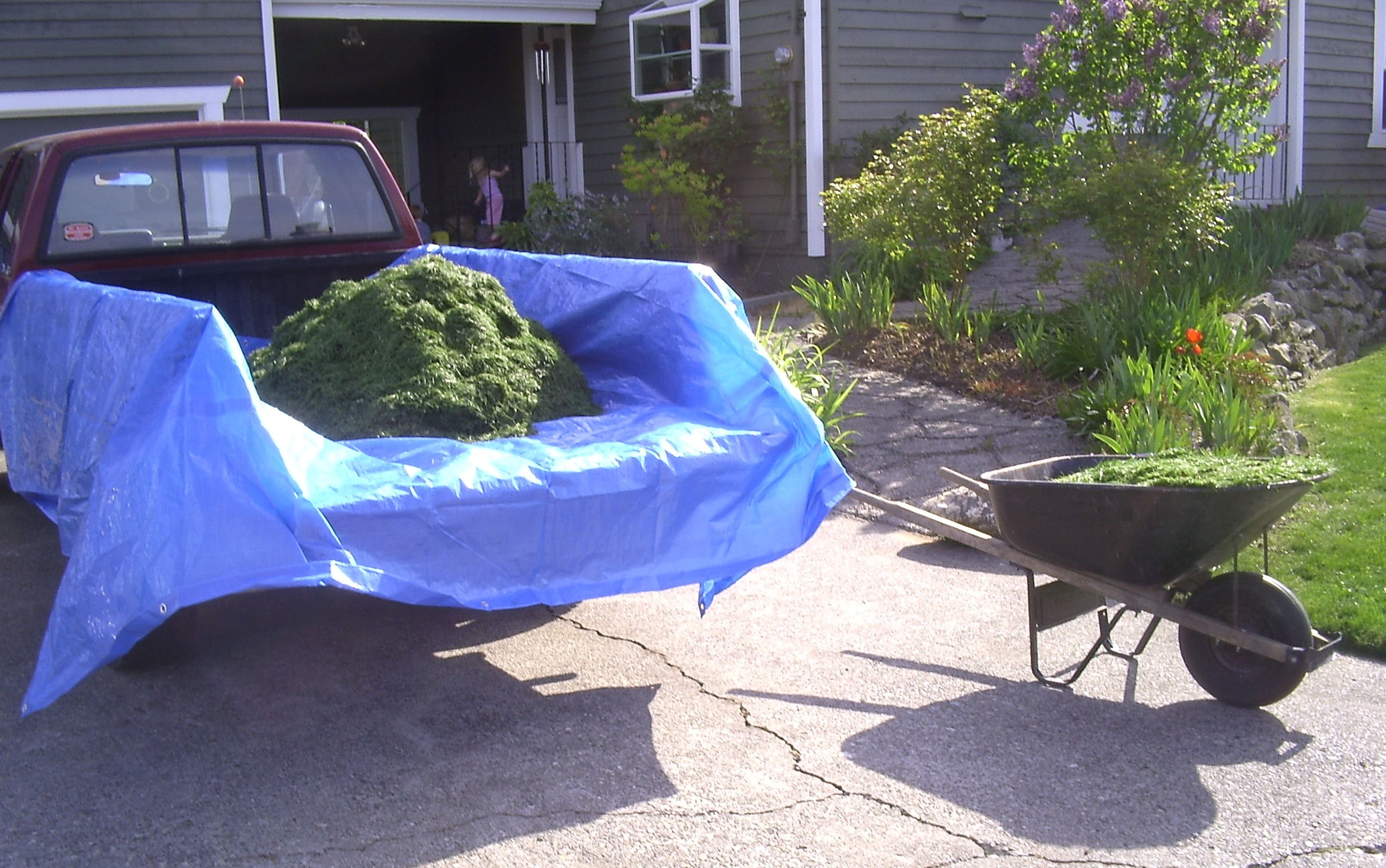 16x20 Multi-Purpose Blue Economy Poly Tarp (16'x20')