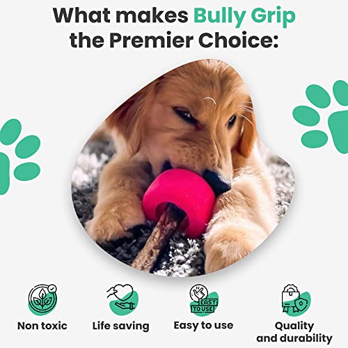 Bully Stick Holder for Dogs - Size Small Interactive Dog Toy, Dog Treat Holder, Slow Feeder, Treat Dispenser, Chew Toy and Dog Safety Device