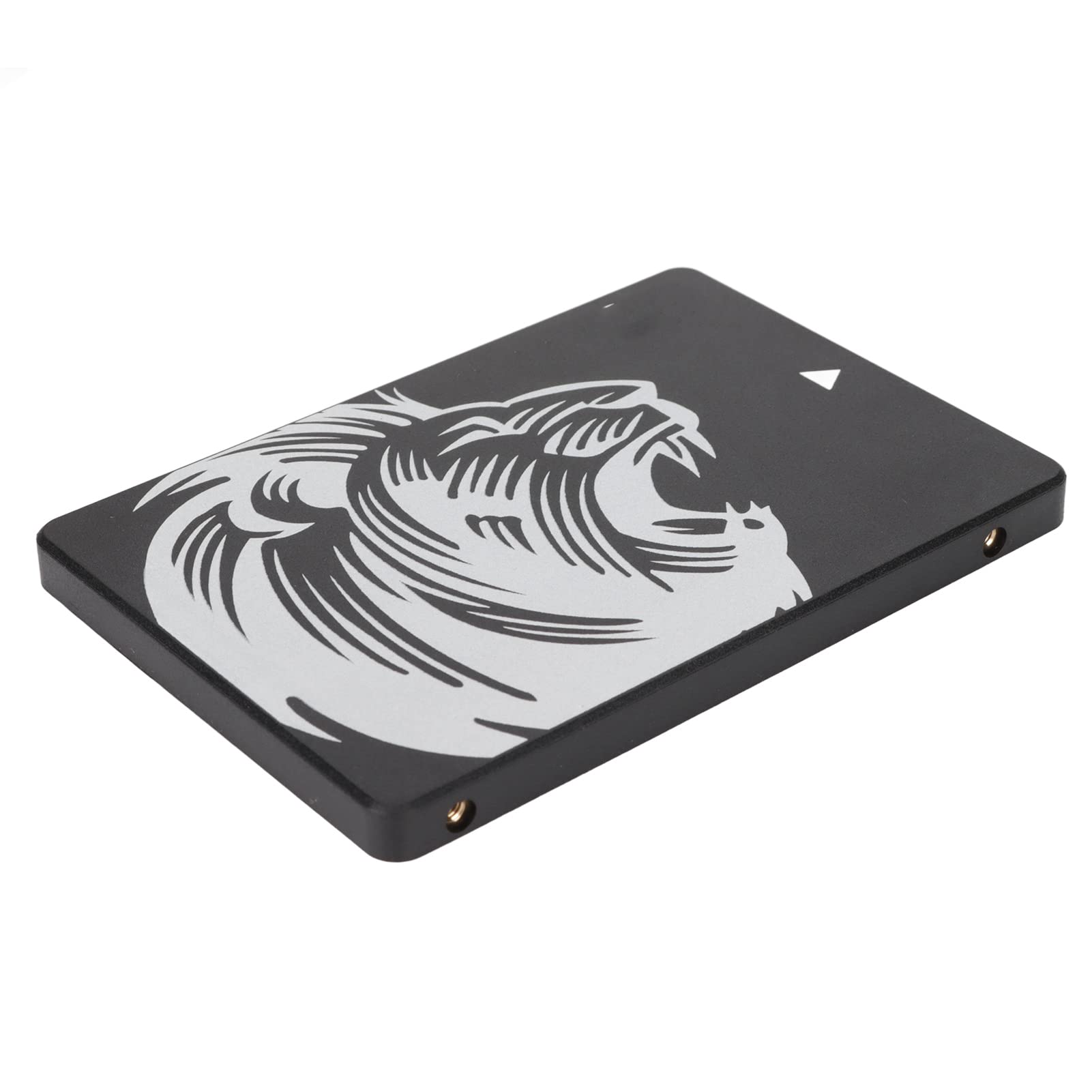 2.5 inch SSD, Portable Ultra Low Power CMOS Process SSD for Desktop Computer for