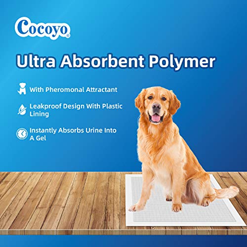 COCOYO Best Value Training Pads 30 Count | Dog Pee Pads | Super Absorbent Puppy Pads