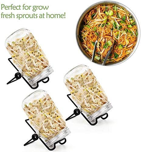IUMÉ Seed Sprouting Jar Kit, 1- Pack Seed Starter Tray, 1 Sprouter Mason Jars with Screen Lids, Stands and Trays, Indoor Seed Sprouter Germinator, Broccoli Sprouts Germination Growing Kit
