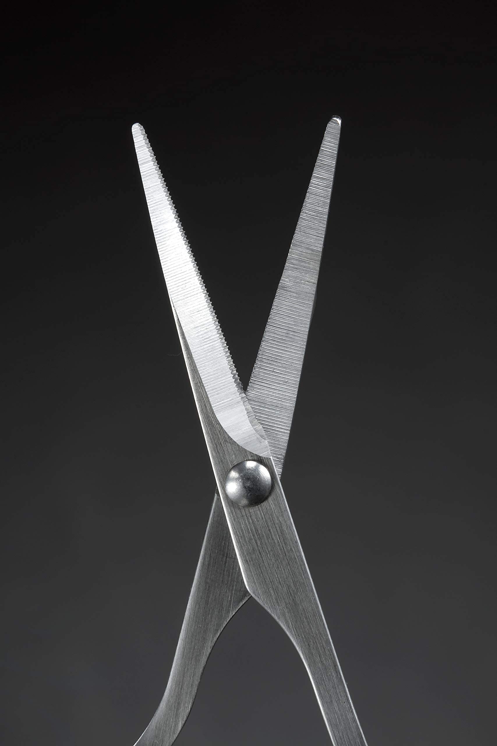 Seki Edge SS-910 Beard and Mustache Grooming Scissor