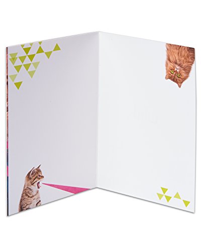 American Greetings Funny Blank Card (Outer Space Laser Cats)