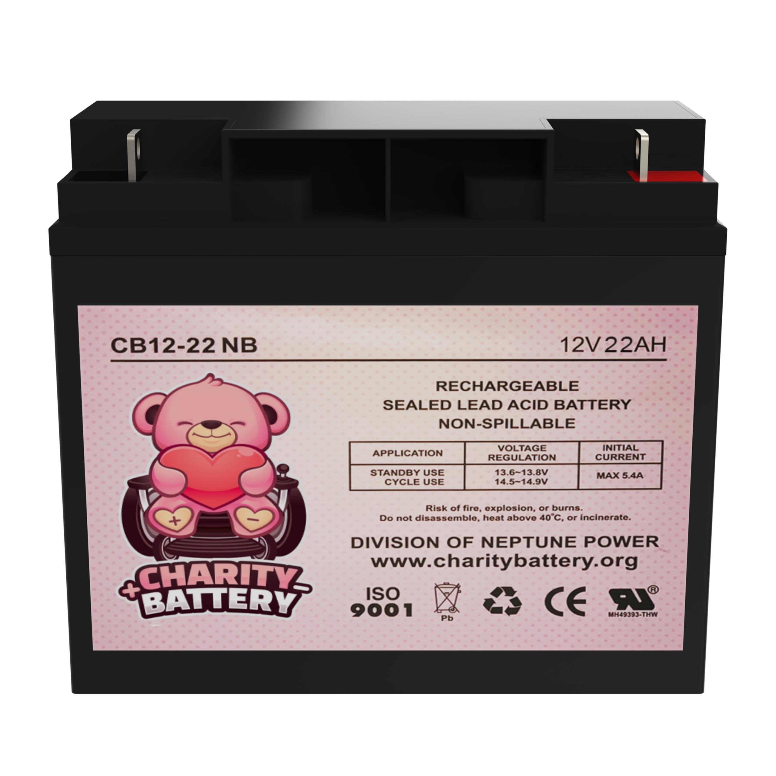 Charity Battery CB12-22 12V 22Ah Rechargeable SLA Battery Replacement for UB12180 FM12180 6fm18