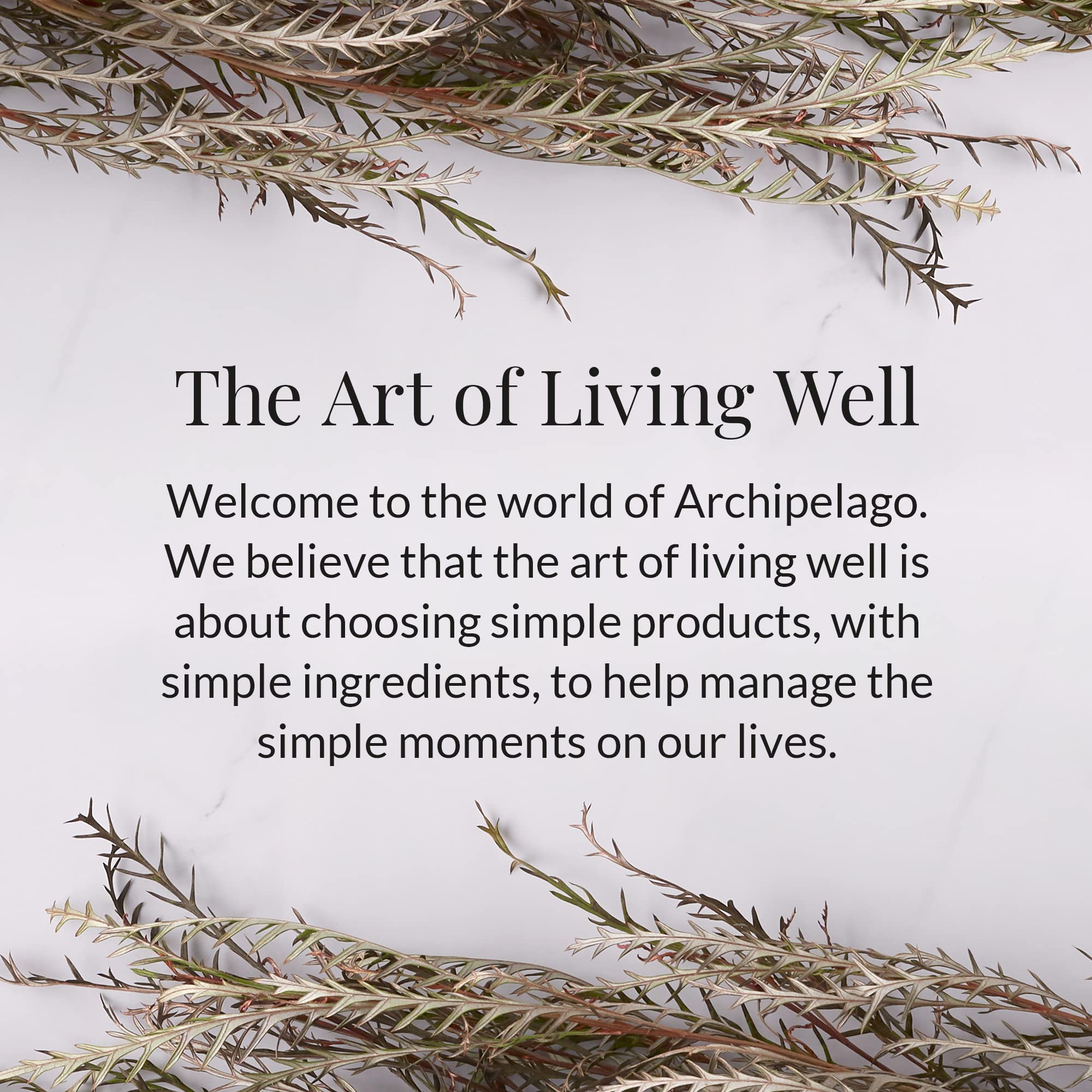 Archipelago Botanicals Botanico de Havana Soy Candle | Luxury Candle Hand-Poured with Premium Soy Wax Blend | Burns 55 Hours (5.8 oz)