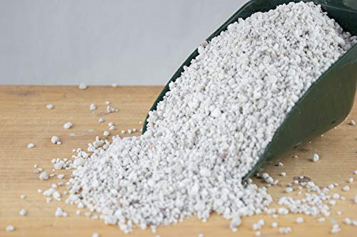 2 Gal. Perlite & Vermiculite for Seedling, Cuttings, Propagatiion, Cactus & Succulent, Bonsai Tree Soil Mix - 1 Gal. Each